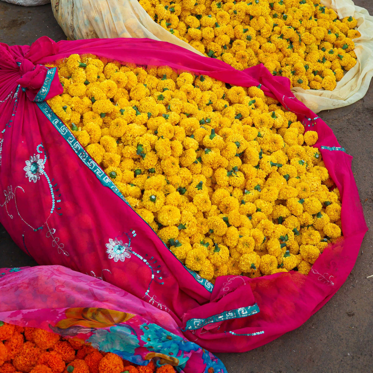 Unveiling the Floral Kaleidoscope: Exploring the Jaipur Flower Market ...